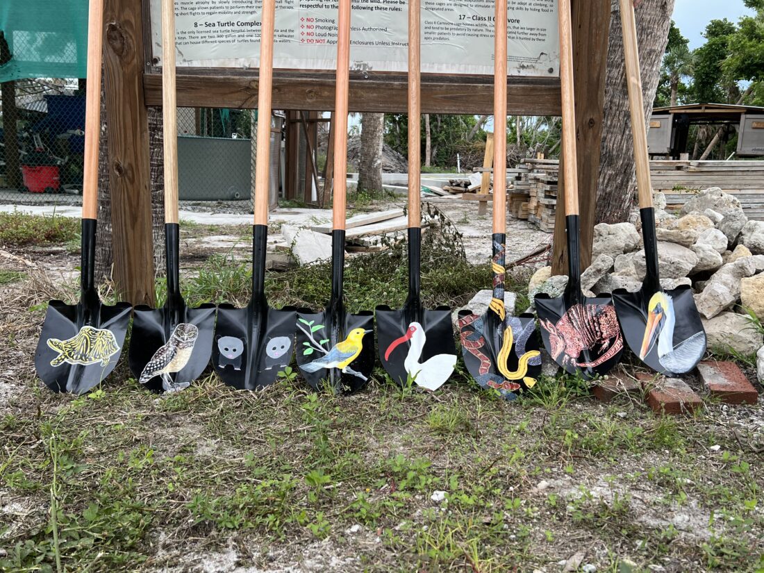 CROW breaks ground for rehabilitation enclosures - SANIBEL-CAPTIVA ...